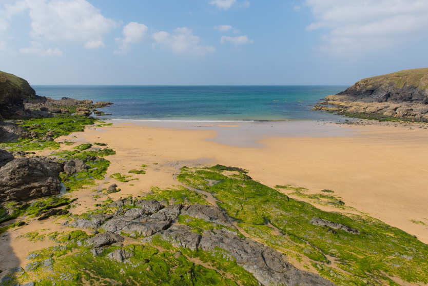 Poldhu Cove Beach, Cornwall Beaches - Luxury Cornish Beach